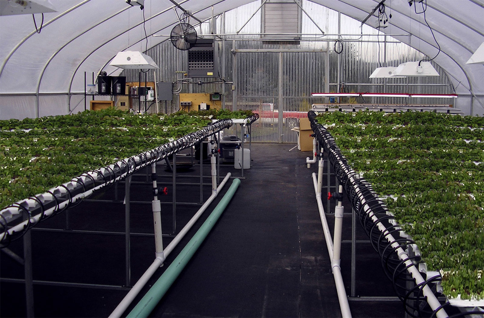 Aquaponics & Hydroponics Systems | Albany to Plattsburgh NY